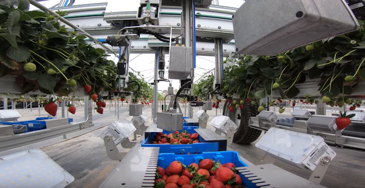How small robots could change the way we farm | Sifted