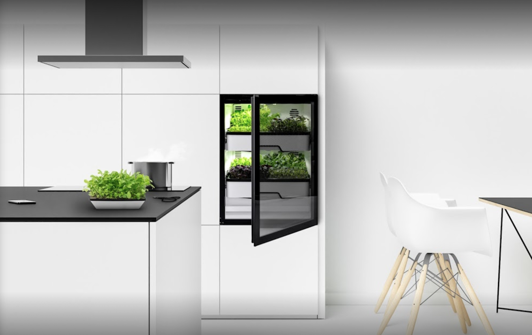 Can vertical farming grow beyond herbs and leaves? | Sifted