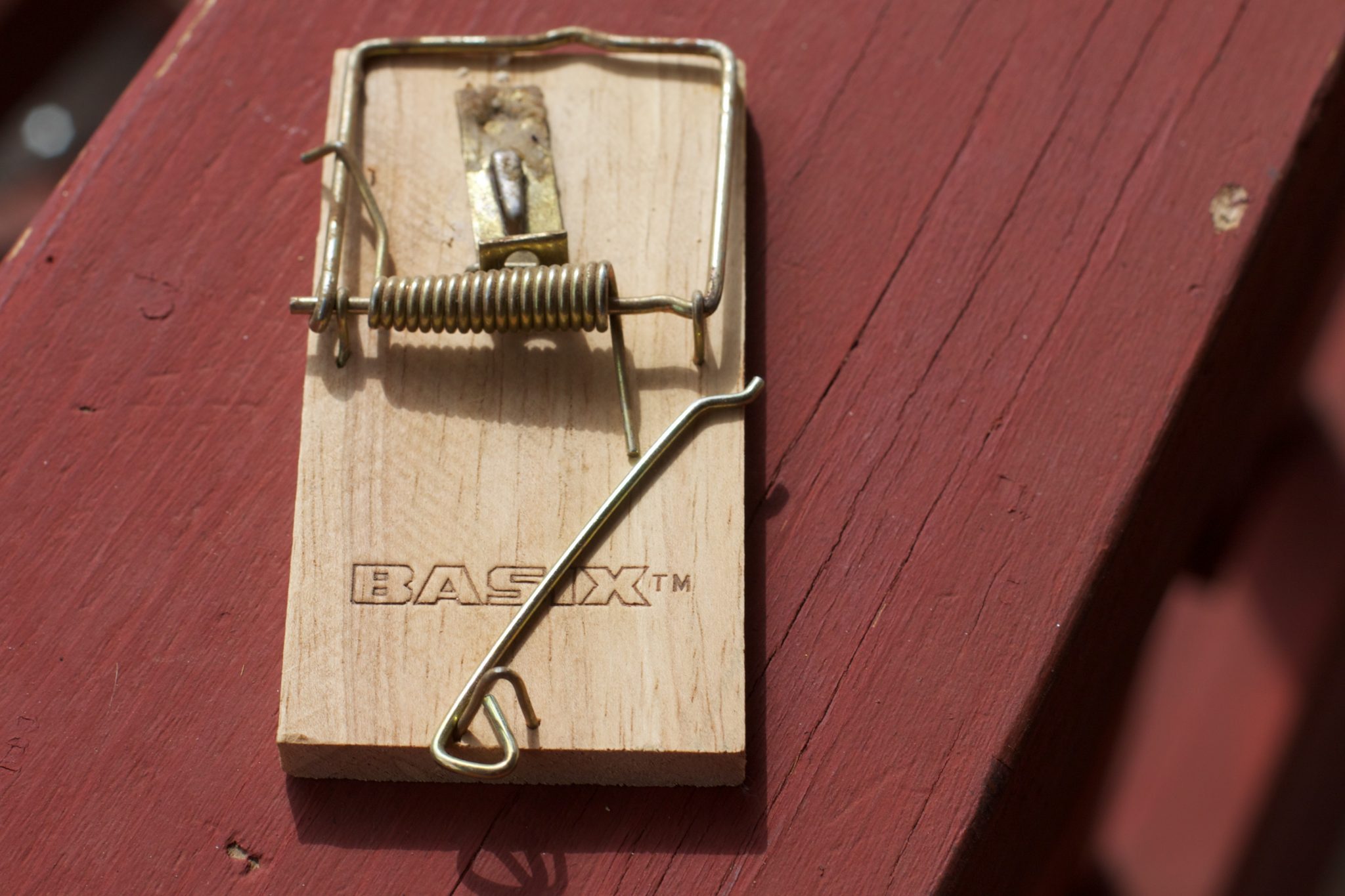 Intrapreneurship? It’s a trap! | Sifted