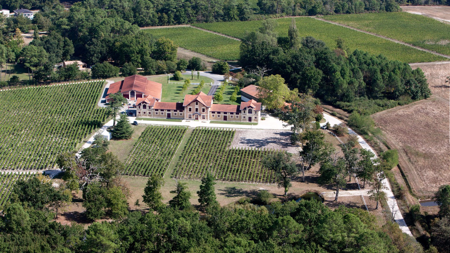 11 winetech startups to know in France | Sifted