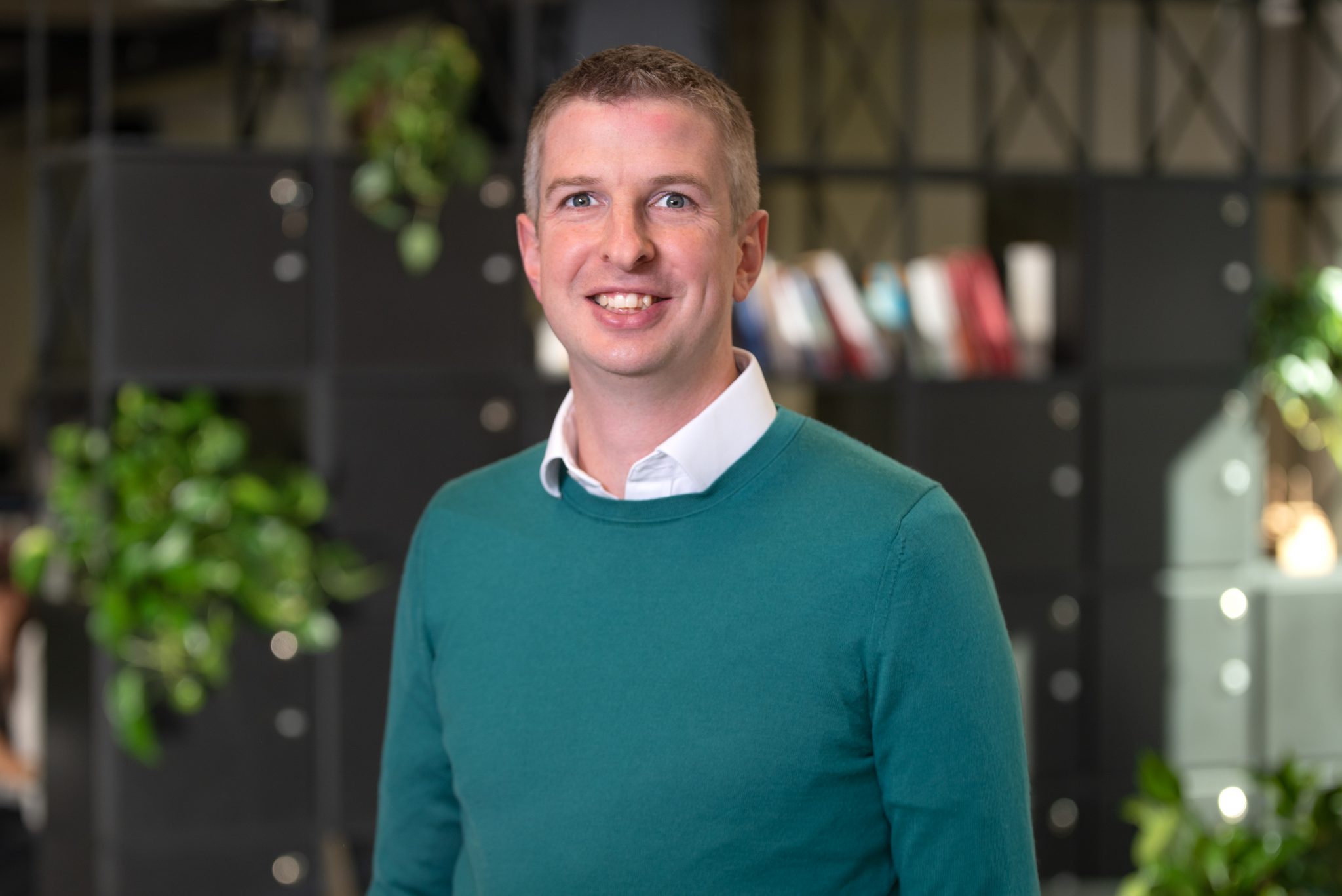 David Grimm - Sifted