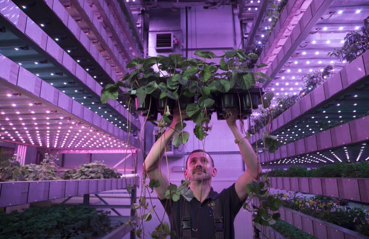 Vertical Farming Company Igs Raises 42m As It Sells Technology Sifted