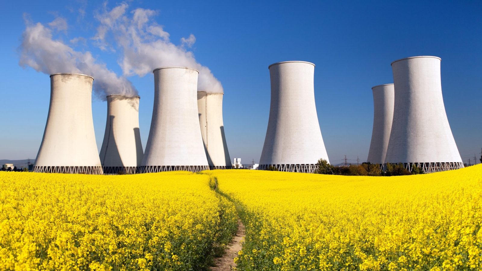 Could renewable nuclear power become a reality in the next decade? | Sifted