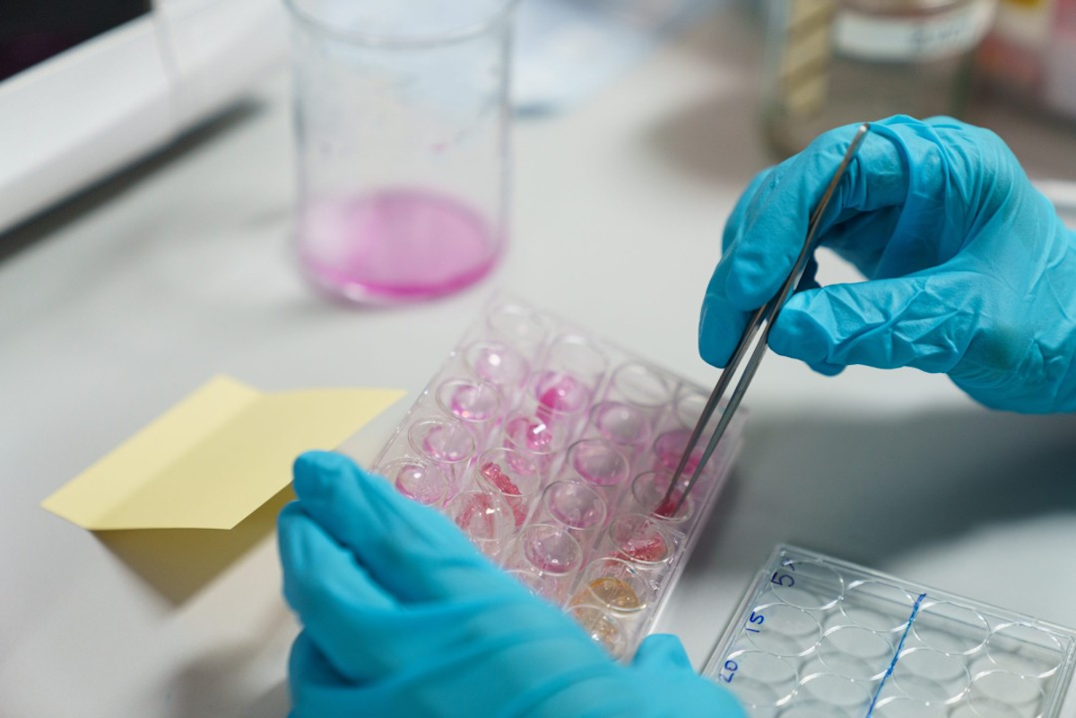 Can tech ever replace animal testing? Meet one startup giving it a go ...