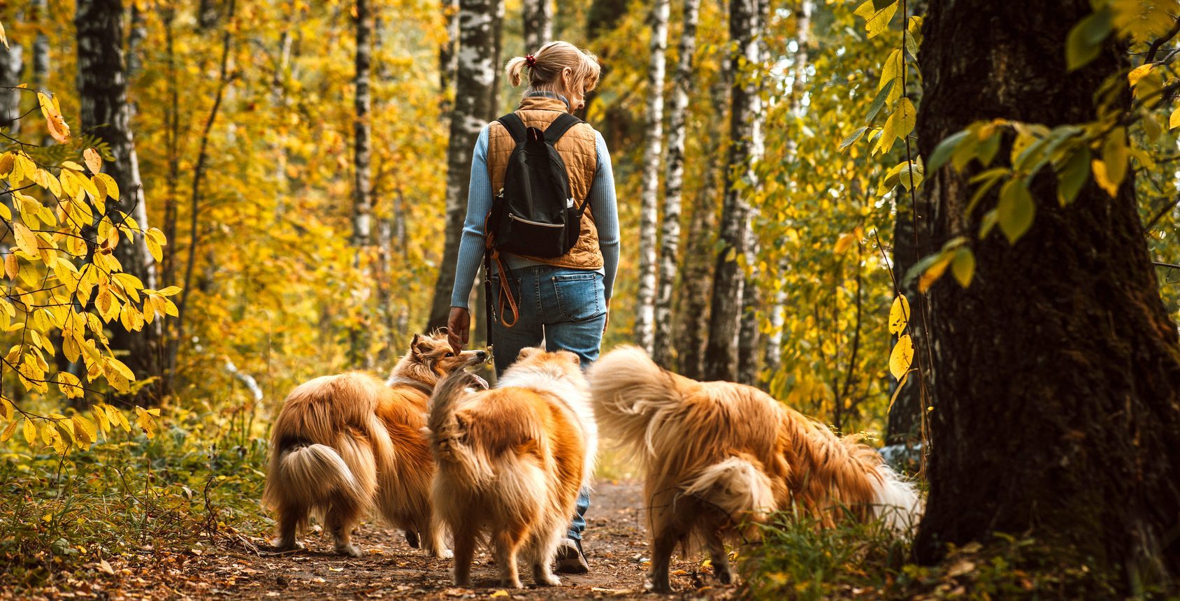 The pet breeders using tech to clean up the industry | Sifted