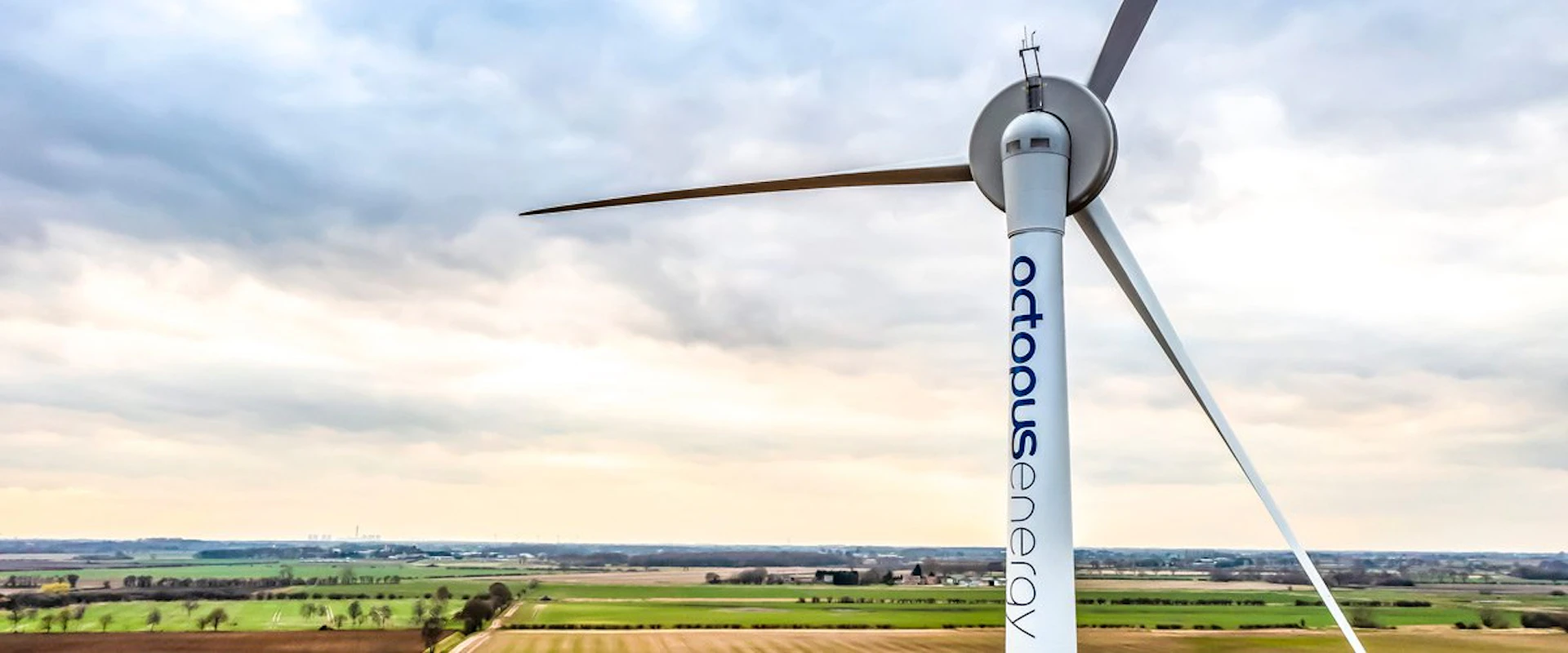 How green is Octopus Energy? | Sifted