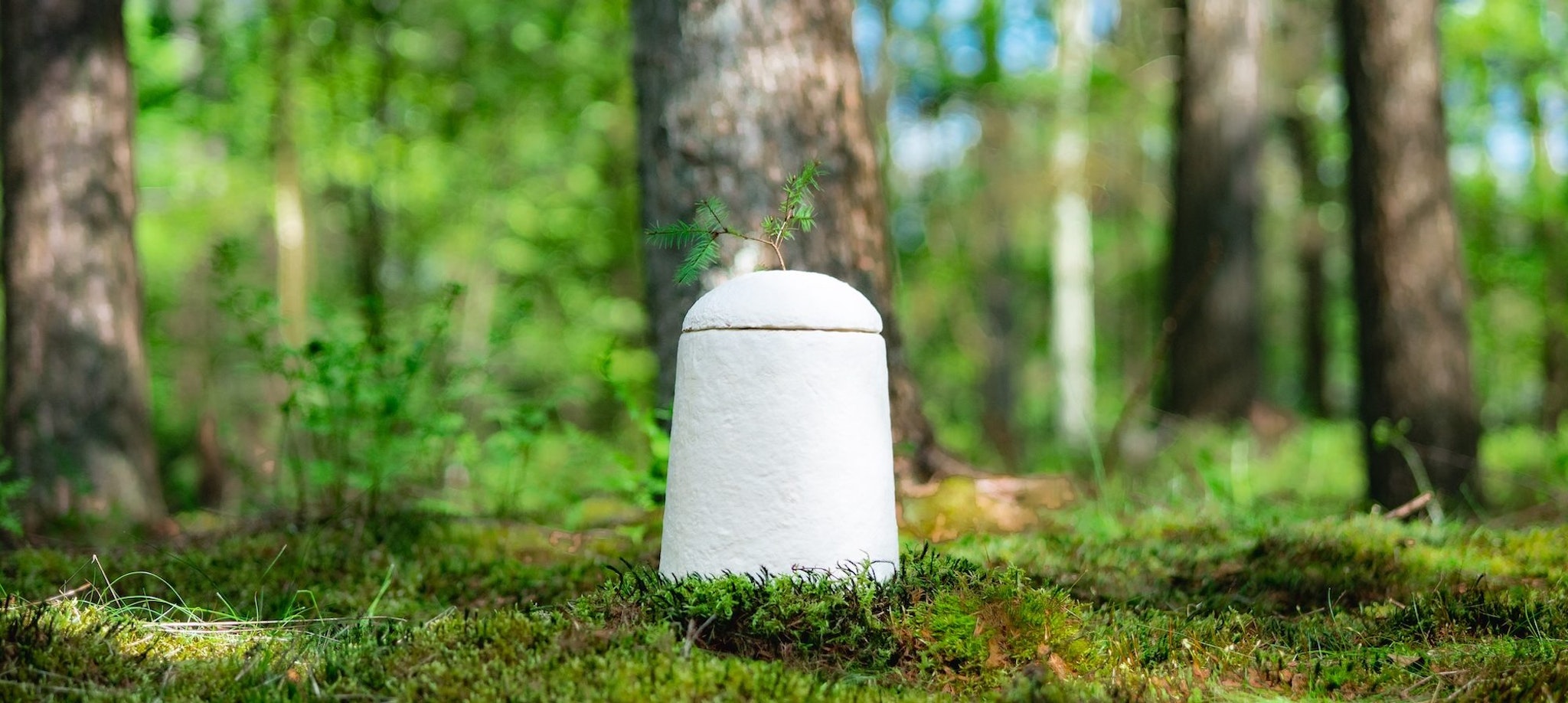 The latest startup news and analysis from Europe | Sifted